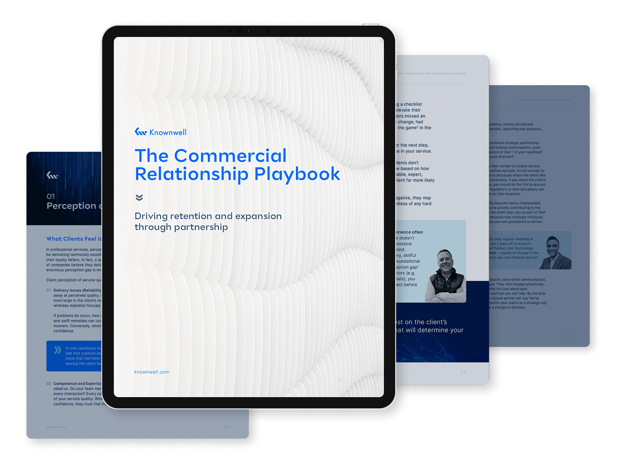 The Commercial Relationship Playbook | A Knownwell Guide to Growth and ...